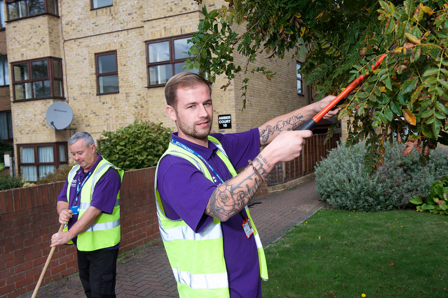 Tree works | The Hyde Group